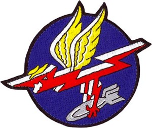 389th FIGHTER SQUADRON – HERITAGE – NEW | Flightline Insignia