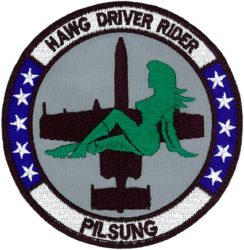 25th FIGHTER SQUADRON – HAWG DRIVER RIDER | Flightline Insignia
