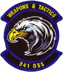 341st OPERATIONS SUPPORT SQUADRON – WEAPONS & TACTICS | Flightline Insignia