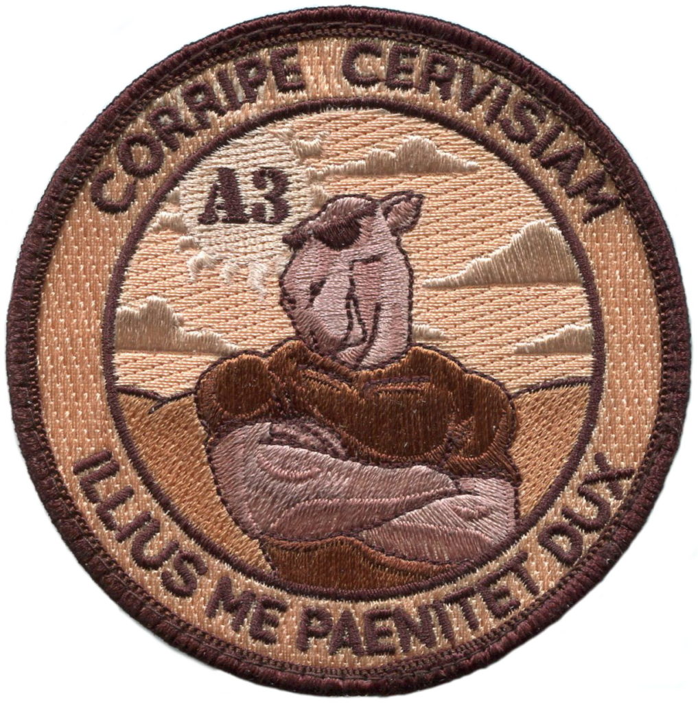 USAF CENTRAL COMMAND – A3 – CORRIPE CERVISIAM | Flightline Insignia