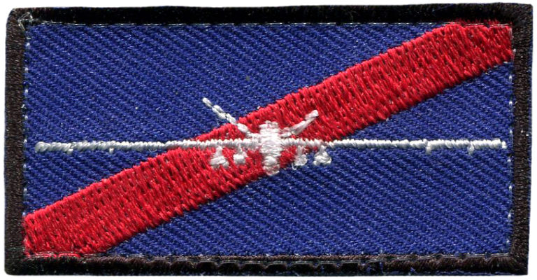 9th ATTACK SQUADRON – MQ-9 – POCKET TAB | Flightline Insignia