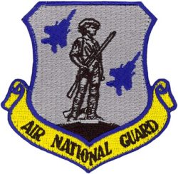 194th FIGHTER SQUADRON – AIR NATIONAL GUARD – NEW | Flightline Insignia