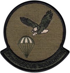 79th RESCUE SQUADRON – SUBDUED | Flightline Insignia