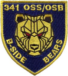 341st OPERATIONS SUPPORT SQUADRON – B SIDE – BEARS | Flightline Insignia