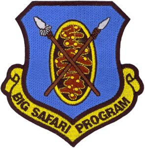 661st AERONAUTICAL SYSTEMS SQUADRON – BIG SAFARI | Flightline Insignia