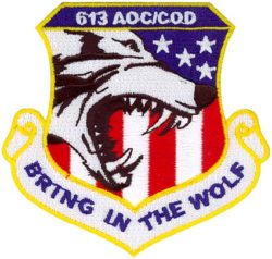 613th AIR AND SPACE OPERATIONS CENTER – COMBAT OPERATIONS DIVISION ...