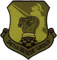 347th RESCUE GROUP – OCP MULTICAM | Flightline Insignia