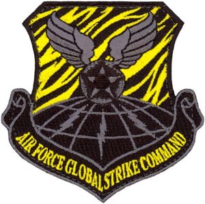 393d BOMB SQUADRON – AF GLOBAL STRIKE COMMAND – TIGER | Flightline Insignia