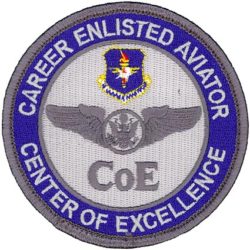 344th TRAINING SQUADRON – CAREER ENLISTED AVIATOR CENTER OF EXCELLENCE ...
