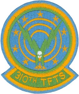 310th TACTICAL FIGHTER TRAINING SQUADRON | Flightline Insignia