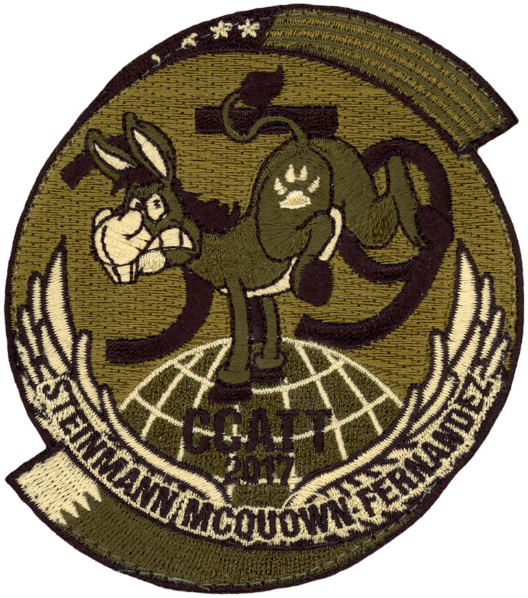 379th EXPEDITIONARY AEROMEDICAL EVACUATION SQUADRON – CRITICAL CARE AIR ...