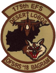 175th EXPEDITIONARY FIGHTER SQUADRON – OPERATIONS FREEDOM SENTINEL ...
