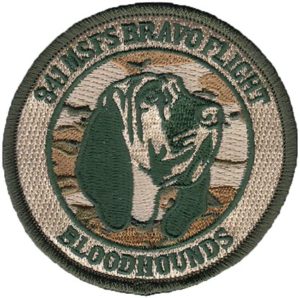 341st MISSILE SECURITY FORCES SQUADRON – BRAVO FLIGHT | Flightline Insignia