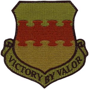 20th FIGHTER WING – SUBDUED | Flightline Insignia