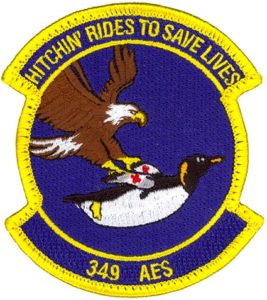 349th AEROMEDICAL EVACUATION SQUADRON | Flightline Insignia