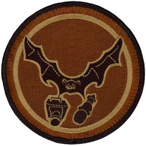 25th ATTACK GROUP – HERITAGE – OCP | Flightline Insignia