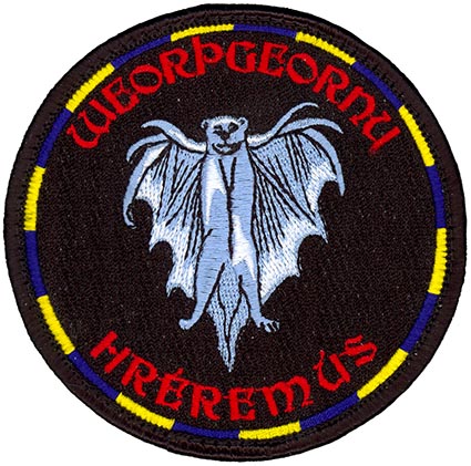 488th INTELLIGENCE SQUADRON – MORALE | Flightline Insignia