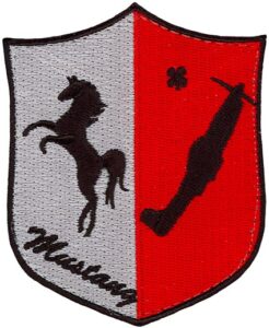 434th FIGHTER TRAINING SQUADRON – MUSTANG FLIGHT | Flightline Insignia