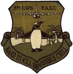 379th EXPEDITIONARY SECURITY FORCES SQUADRON – FLY AWAY SECURITY TEAM ...