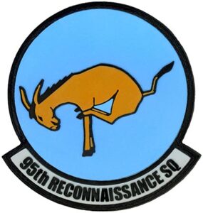 95th RECONNAISSANCE SQUADRON – PVC | Flightline Insignia