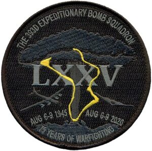 393d EXPEDITIONARY BOMB SQUADRON – 75th ANNIVERSARY | Flightline Insignia