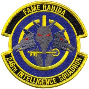 246th INTELLIGENCE SQUADRON | Flightline Insignia