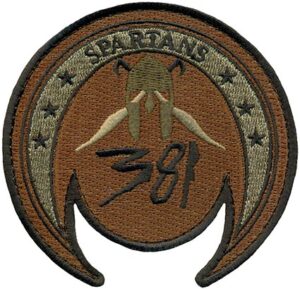 381st TRAINING SUPPORT SQUADRON – SPARTAN – OCP | Flightline Insignia