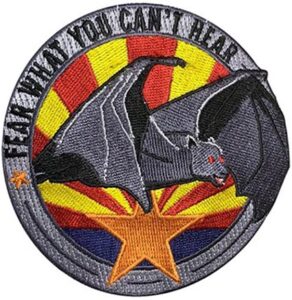 43rd EXPEDITIONARY ELECTRONIC COMBAT SQUADRON – FEAR WHAT YOU CAN’T ...