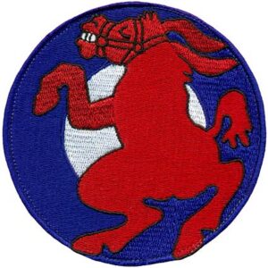 356th FIGHTER SQUADRON – HERITAGE | Flightline Insignia