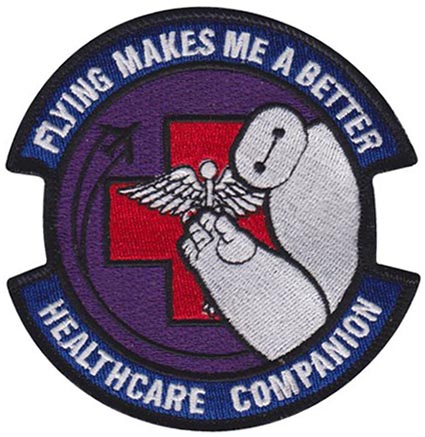 374th OPERATIONAL MEDICAL READINESS SQUADRON – HEALTHCARE COMPANION ...