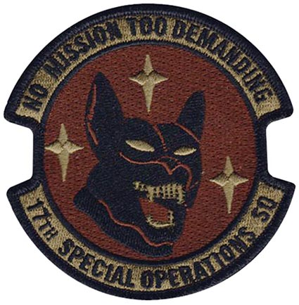 17th SPECIAL OPERATIONS SQUADRON – OCP | Flightline Insignia