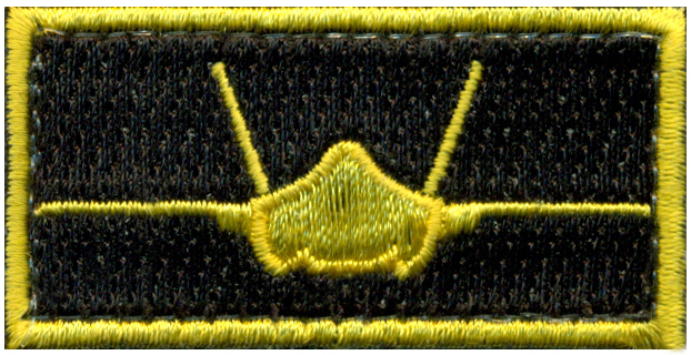 466th FIGHTER SQUADRON – F-35 LIGHTNING II – POCKET TAB | Flightline ...