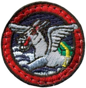 4th AIRLIFT SQUADRON – SQUADRON – POCKET TAB | Flightline Insignia