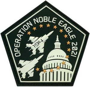 194th FIGHTER SQUADRON – OPERATION NOBLE EAGLE 2021 | Flightline Insignia