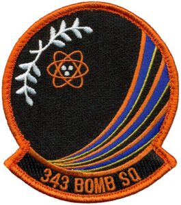 343d BOMB SQUADRON – ORANGE | Flightline Insignia