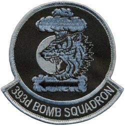 393d BOMB SQUADRON – BLACK | Flightline Insignia