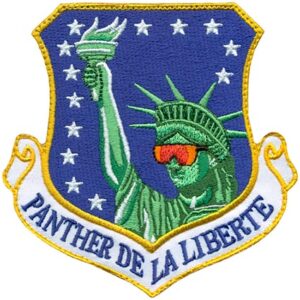 494th FIGHTER SQUADRON – 48TH FIGHTER WING – HEATWAVE | Flightline Insignia
