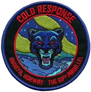 494th FIGHTER SQUADRON – EXERCISE COLD RESPONSE 2022 | Flightline Insignia