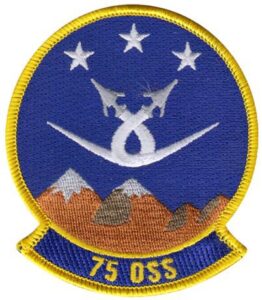 75th OPERATIONS SUPPORT SQUADRON | Flightline Insignia
