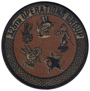 325th OPERATIONS GROUP – GAGGLE – OCP | Flightline Insignia