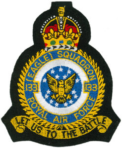 336th FIGHTER SQUADRON – HERITAGE | Flightline Insignia