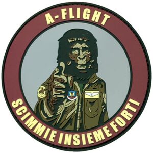 482d ATTACK SQUADRON – A FLIGHT | Flightline Insignia