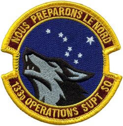 133rd OPERATIONS SUPPORT SQUADRON | Flightline Insignia