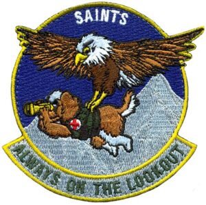 446th AEROMEDICAL EVACUATION SQUADRON – MORALE | Flightline Insignia