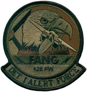 125th FIGHTER WING – DETACHMENT-1 – OCP | Flightline Insignia
