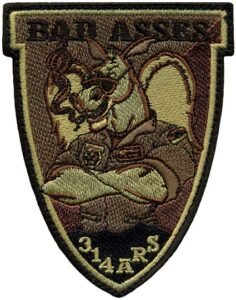 314th AIR REFUELING SQUADRON – BAD ASSES – OCP | Flightline Insignia