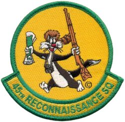 45th RECONNAISSANCE SQUADRON | Flightline Insignia