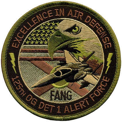125th OPERATIONS GROUP – DETACHMENT 1 ALERT FORCE – OCP | Flightline ...