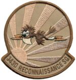 343rd RECONNAISSANCE SQUADRON – RISING SUN – DESERT | Flightline Insignia
