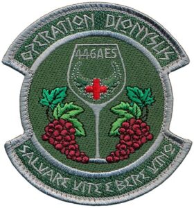 446th AEROMEDICAL EVACUATION SQUADRON – OPERATION DIONYSUS | Flightline ...